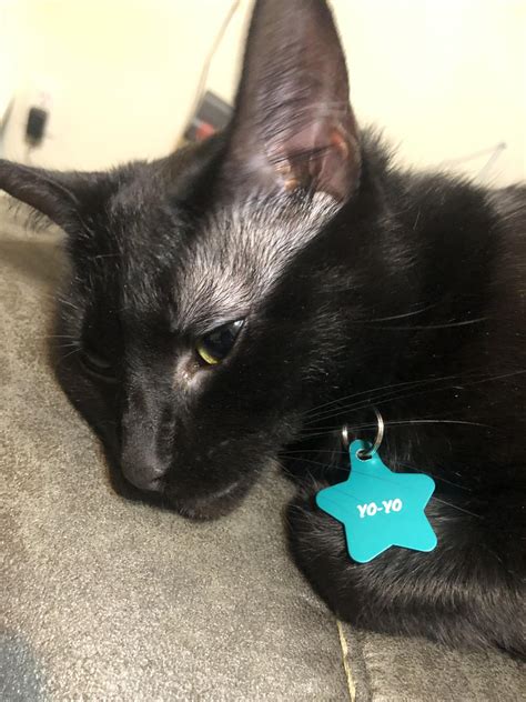 This Girl Is So Hecking Cute Rcats