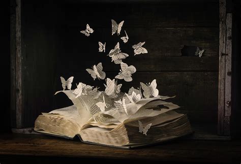 Lepidopterology By Heather Bonadio