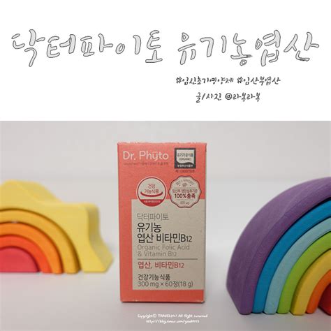 임신초기영양제 꼭 챙겨 먹어요 네이버 블로그
