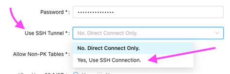 SSH Tunnel Setup For Hosted Database Systems DataLakeHouse Io