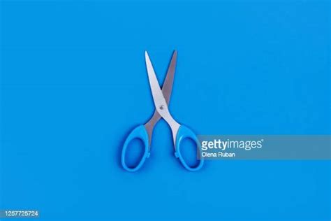 Small Scissors Photos And Premium High Res Pictures Getty Images