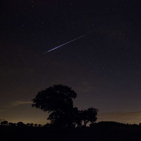 Chris Borrell Flickr