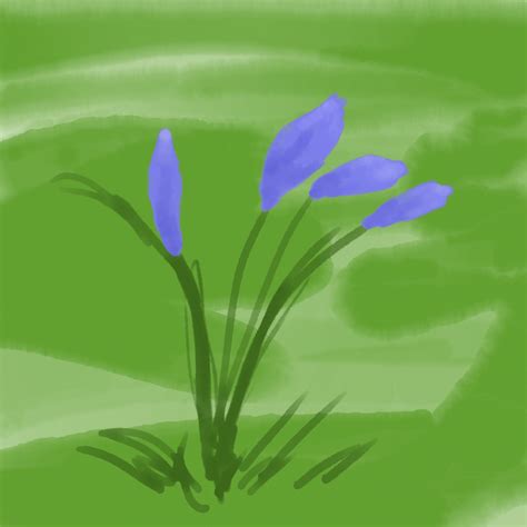 Spring Album On Imgur