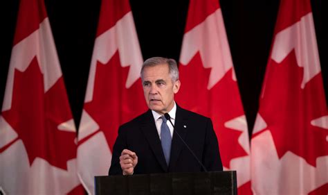 Solutions To Deforestation How We Can Work Together For A Greener