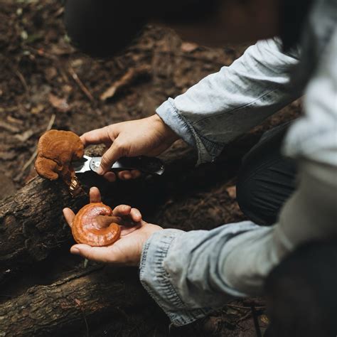 Tiny Tribes Chiang Mai