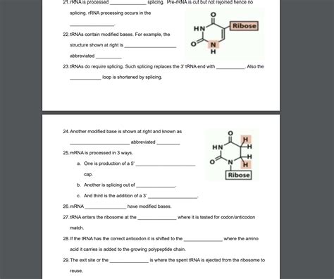 Solved Splicing Rrna Processing Occurs In The 22trnas