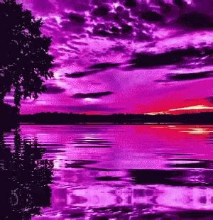 Purple S