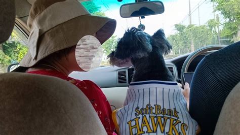 ドライブ中 太一パパです