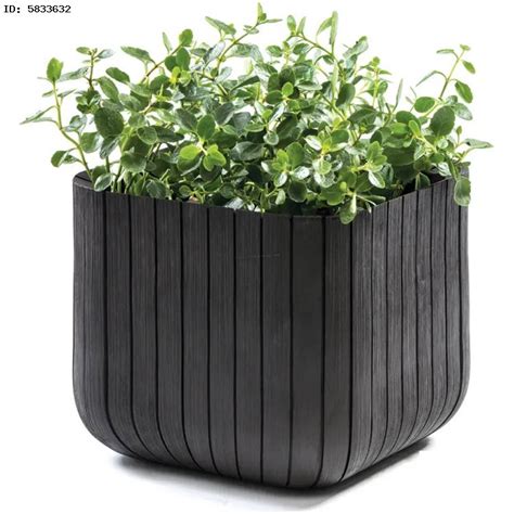 Ghiveci Keter Cube Planter S Anthracite Cumpără în Chișinău Moldova