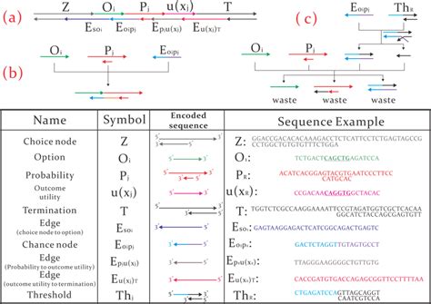 Dna Sequence Design Motif See Online Version For Colours Download