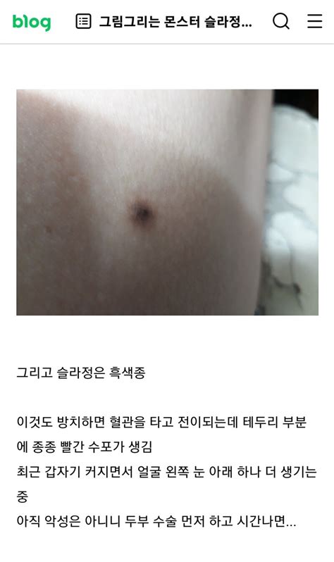 메이플스토리 인벤 무엇이든 파괴하는 만화가 메이플스토리 인벤 자유게시판