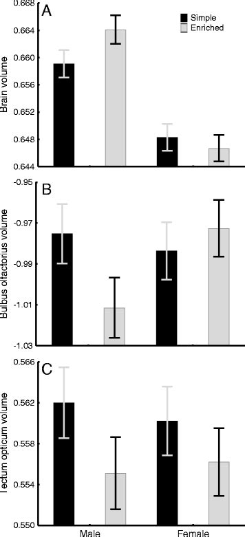 The Effects Of Treatment And Sex On Stickleback Brain Development