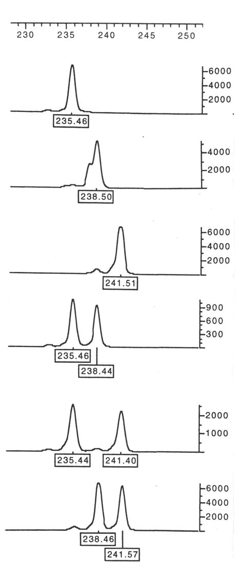 Sample Electropherogram Of The Microsatellite Region Bp126 6