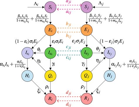 flow diagram of the multi patch model 1 showing interactions between