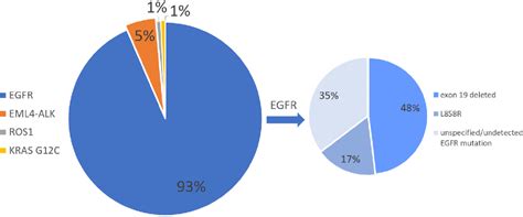 Figure 1 From Morphologic Molecular Transformation Of Oncogene Addicted Non Small Cell Lung