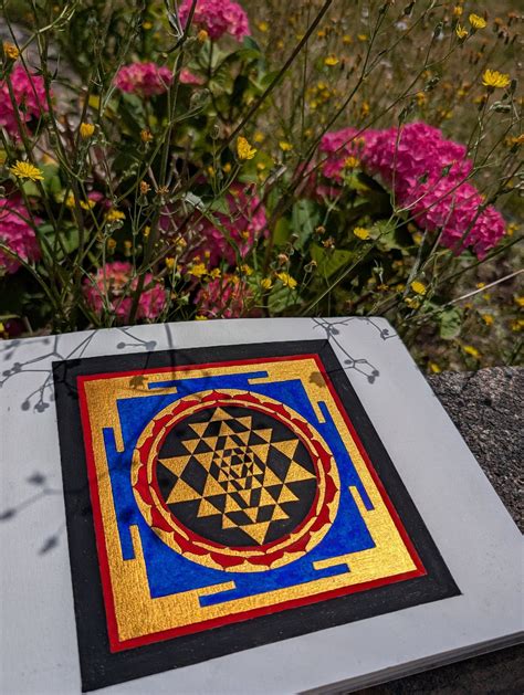 Sofia Arastu Sofiaarastu • Instagram Photos And Videos