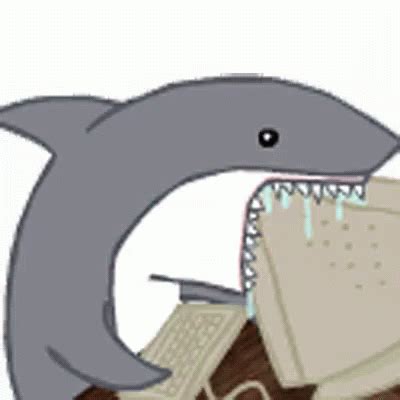 Shark Funny  Shark Funny Computer Discover And Share S