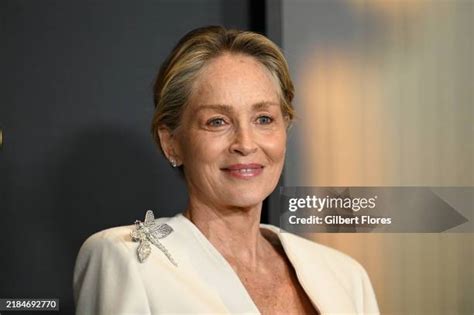 53576 Sharon Stone Sharon Stone Photos And High Res Pictures Getty Images