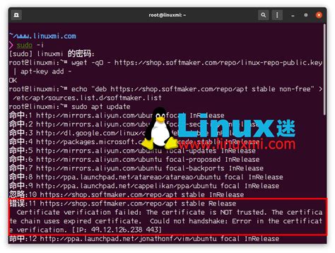 如何在ubuntu 2004 Linux上安装freeoffice 2021，微软 Office 的最佳免费替代品之一 Linux迷