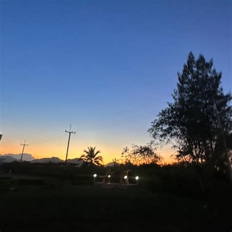 โพสต์ ของ Prownlemon8