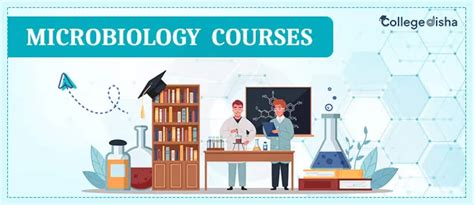 Microbiology Courses How To Become A Microbiologist Bsc
