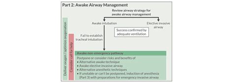 Latest Asa Difficult Airway Algorithm Guidelines Whats New