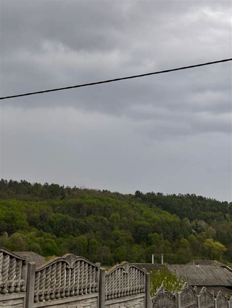 Forest Forest Structures