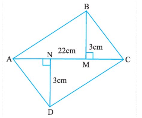 Find The Area Of The Quadrilateral Abcd Here Ac 22 Cm Bm 3 Cm Dn 3 Cm And Bm ⊥ Ac Dn