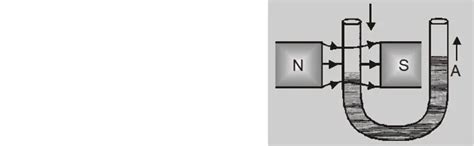Properties Of Diamagnetic Materials Magnetism And Matters Notes Class 12