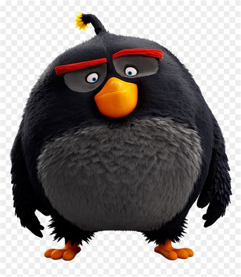 Characters Of Angry Birds Movie 60 Photos Moonagedaydreamfilm