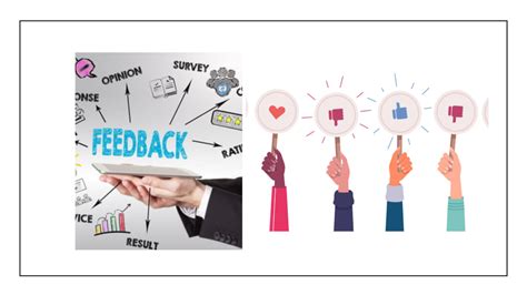 Culture Of Continuous Feedback