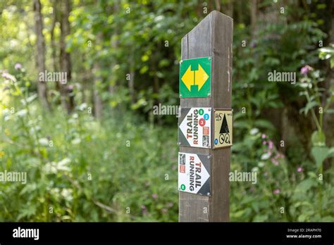 Trail And Direction Pole With Arrows Directing To Various Off Road Trails For Joggers And Hikers