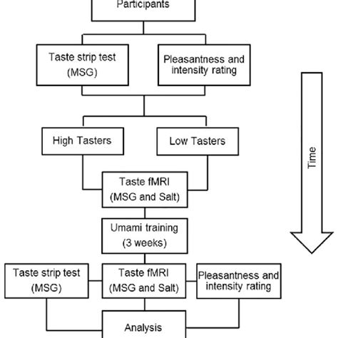 Diagram For The Experimental Design Download Scientific Diagram