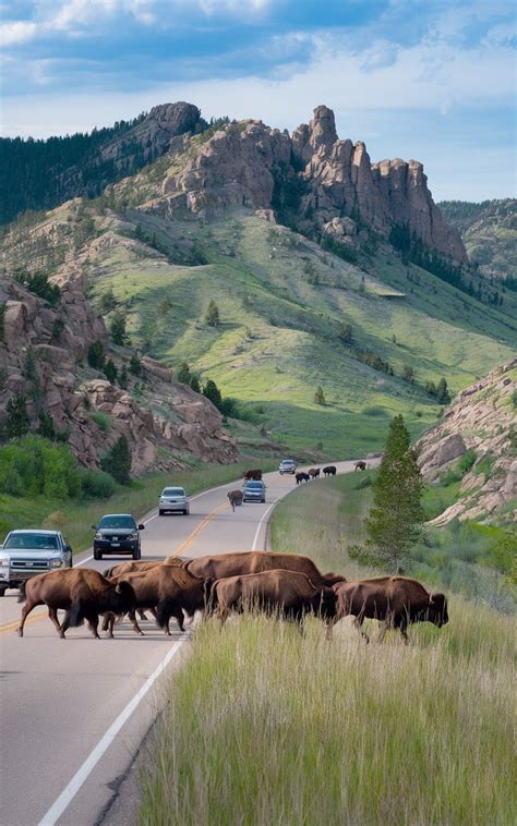 15 Must Visit State Parks This Summer Cruise Ship Mania
