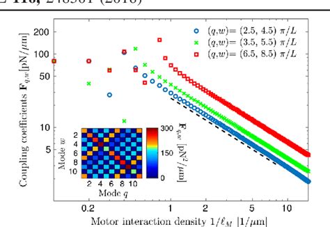 Figure 3 From Broken Detailed Balance Of Filament Dynamics In Active