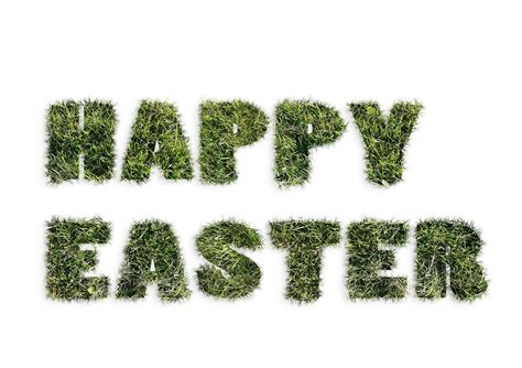 Download Easter Happy Easter Grass Royalty Free Stock Illustration
