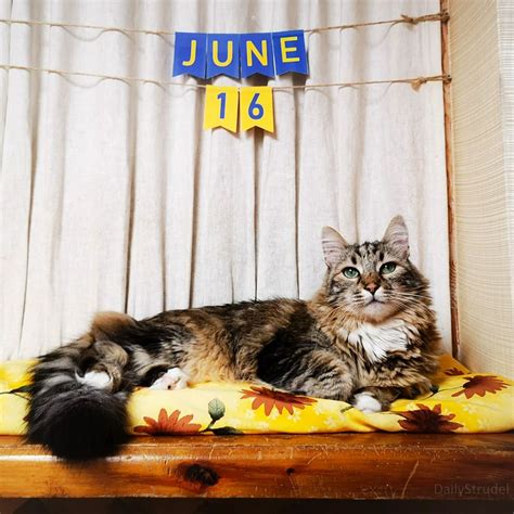 June 16 Album On Imgur