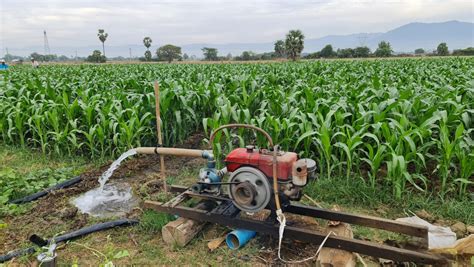 Cpp Myanmar ขับเคลื่อนการพัฒนาแหล่งน้ำช่วยเหลือเกษตรกร สู่การมีรายได้