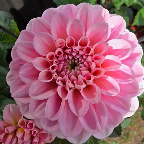 Lars Blomgren Youtube