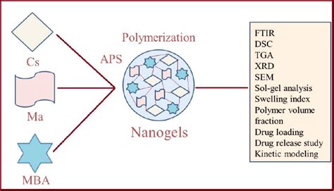 Formulation And In Vitro Assessment Of Polymeric Ph Responsive Nanogels