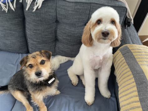 Year In Review — Danielle And Evan 92521