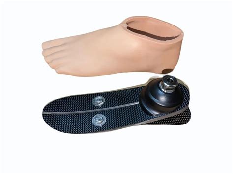 Silicone Foot Prosthesis At ₹ 20000 Prosthetics Foot In Kolkata Id