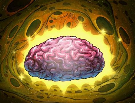 Johann Du Bruyn Adlı Kullanıcının G R O S S U P C L O S E U P