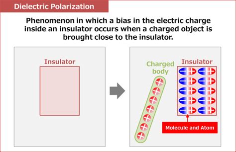 Dielectric Polarization Explanation Principle Electrical Information