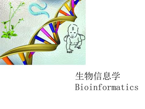 Ppt 生物信息学 Bioinformatics Powerpoint Presentation Free Download Id