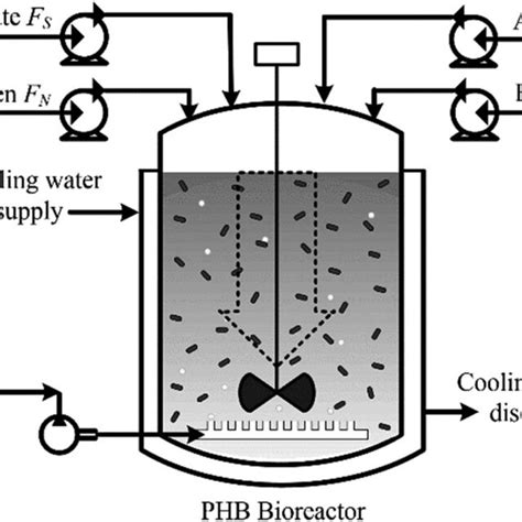 Schematic Diagram Of A Typically Phb Fed Batch Bioreactor Download