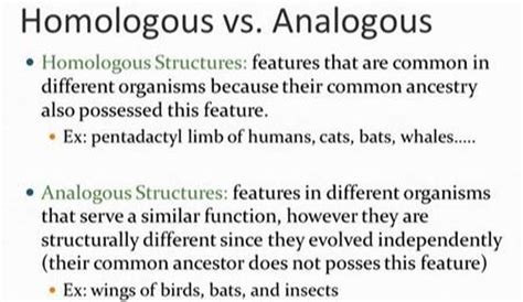 Analogous Structures Vs Homologous Structures