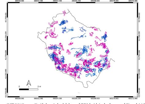 Figure 3 From Sex Estimation Using Long Bones In The Largest Burial