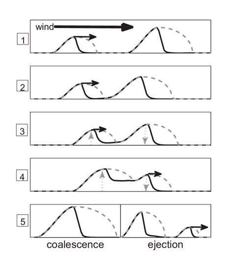 3 Schematic Diagram Illustrating A Dune Collision The Topographydune