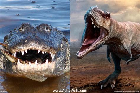 Crocodile Vs Dinosaur